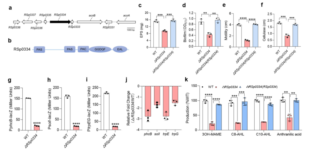 项目文章 | Nature Commun细菌转录因子ChIP-seq揭示第二信使2‘,3‘-cGMP的新调控机制_comx转录因子-CSDN博客