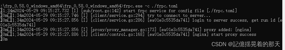 Windows搭建FRP内网穿透服务，实现本地文件外网访问_windows frp-CSDN博客