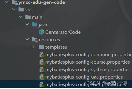MybatisPlus代码生成器_代码生成器mybatis plus-CSDN博客