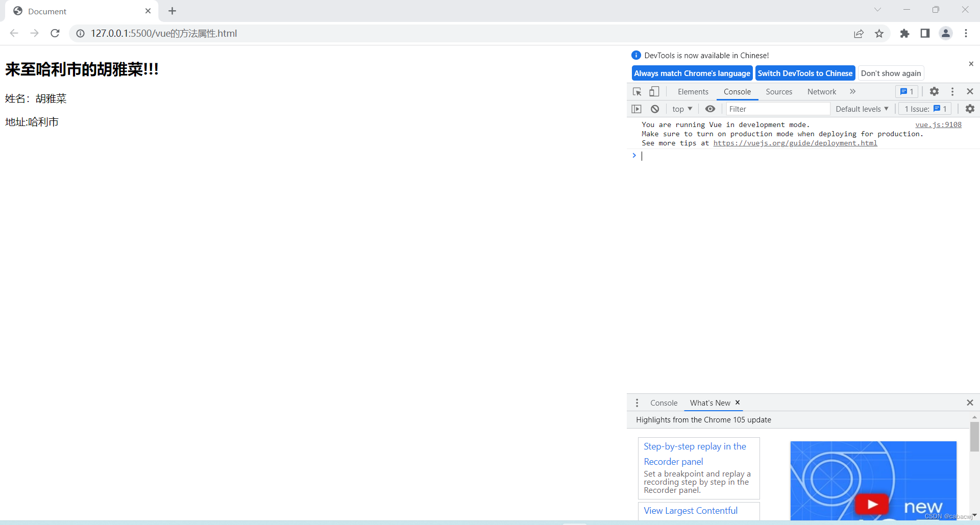 VUE的使用_new vue用法-CSDN博客