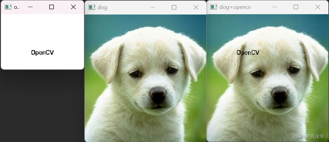 OpenCV基础应用：颜色分割、图像水印与全景拼接-CSDN博客