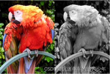 pytorch tensor灰度图和RGB图相互转换的三种方法_tensor转rgb-CSDN博客