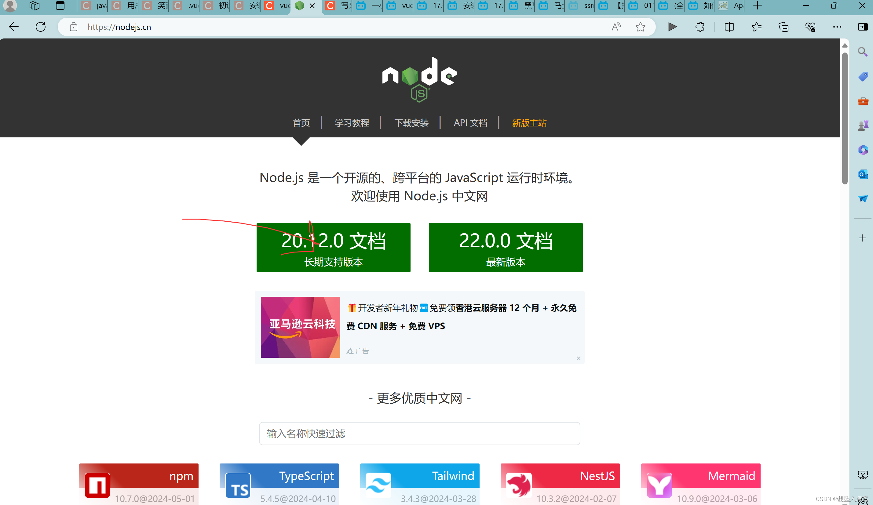 nodejs npm 安装andvue-cli脚手架记录_安装nodejs npm-CSDN博客