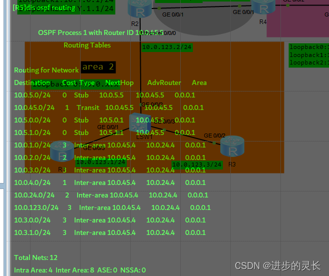 使用华为模拟器eNSP完成ospf配置实验_华为loopback-CSDN博客