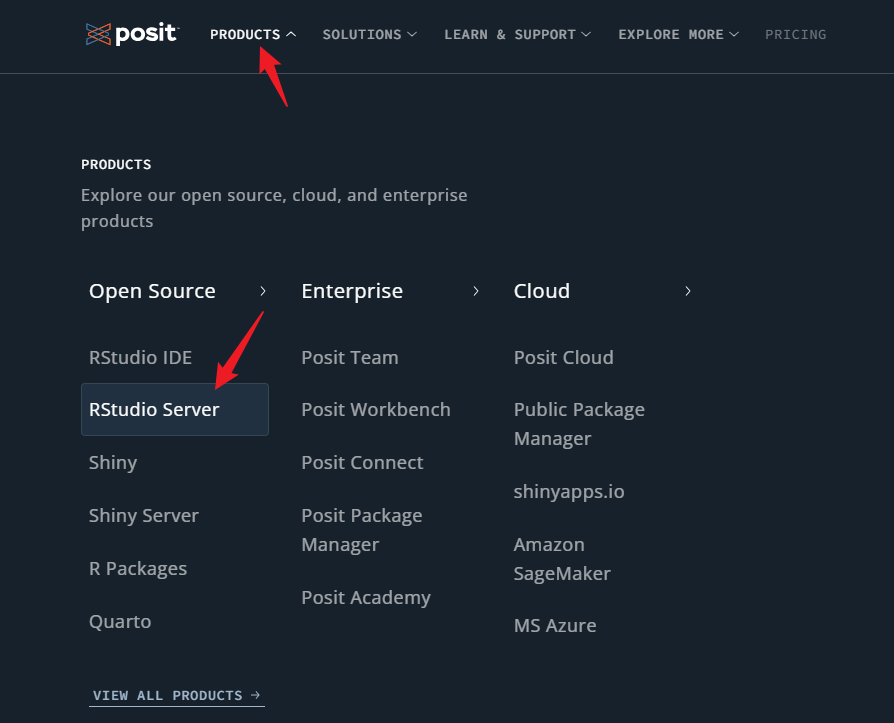 Ubuntu 安装 RStudio Server_ubuntu安装rstudio server-CSDN博客