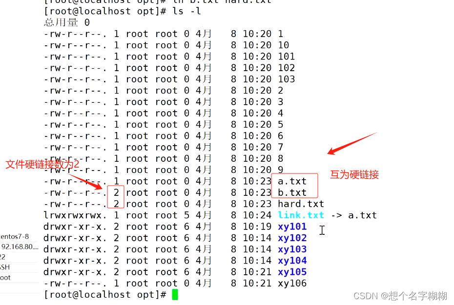 Linux常用命令（2）_linux mkdir -pv-CSDN博客