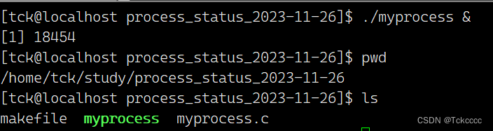 Linux下具体的进程状态详细解析!!!_linux state-CSDN博客