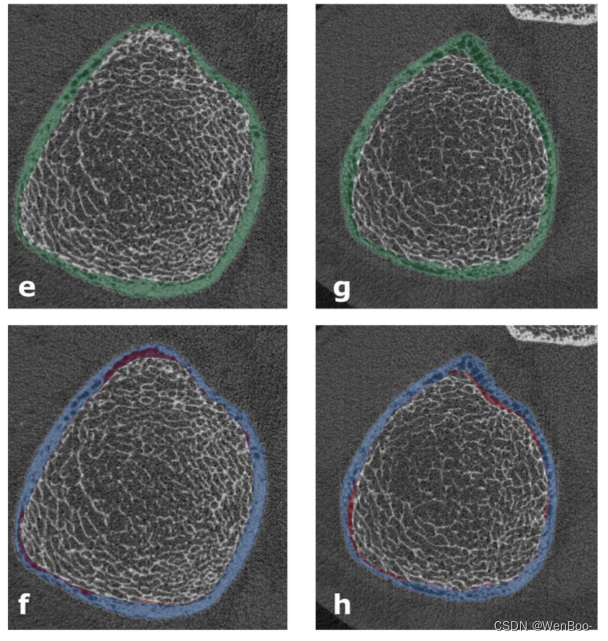 研一下第五周论文阅读情况_feature re-embedding: towards foundation model-lev-CSDN博客