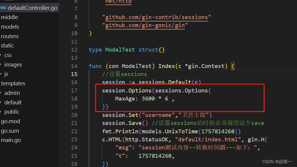 Gin 中的 Session(会话控制)_gin session-CSDN博客