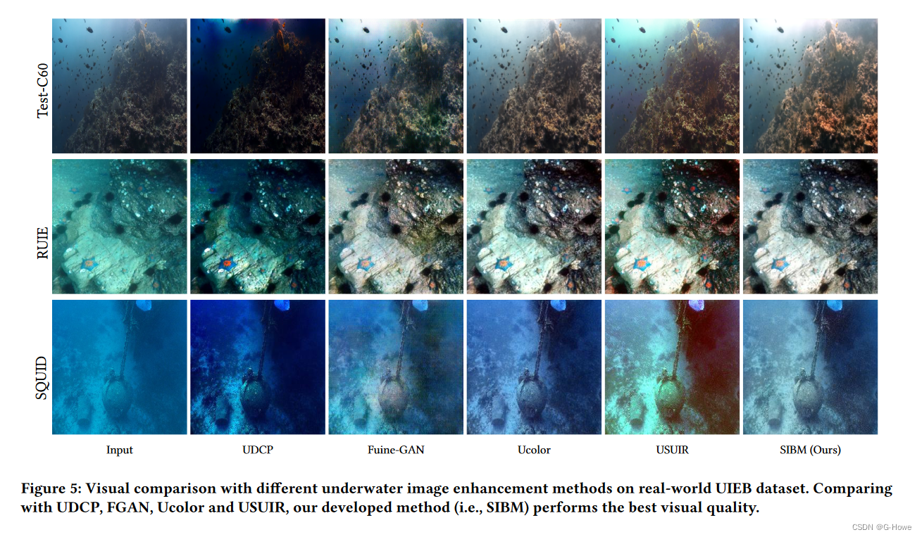 Structure-Inferred Bi-level Model for Underwater Image Enhancement论文小结_squid水下数据集-CSDN博客