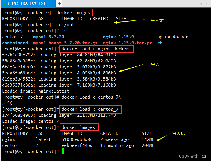 Docker：（三）docker镜像与容器基本的基本操作_在容器立面输入docker ps-CSDN博客