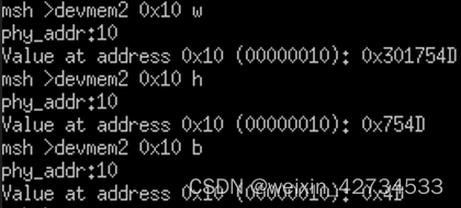 pico添加devmem2读写内存模块-CSDN博客