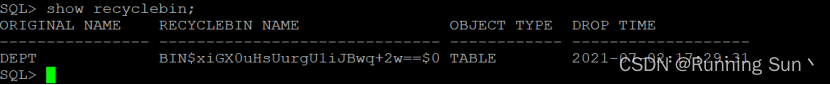 Oracle闪回详解（闪回查询，闪回数据，回退数据，闪回表，闪回数据库，闪回快照，闪回主备库（恢复关系），闪回归档，注意事项，有关闪回常用查询