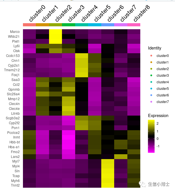 优雅地展示20w单细胞热图|非Doheatmap 超大数据集 细胞数太多-CSDN博客