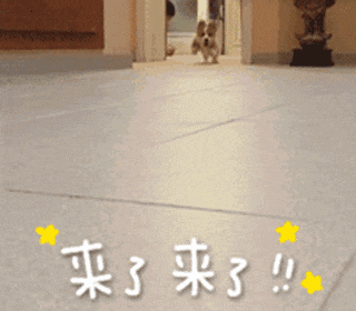 当你的Linux出现 ”您在 /var/spool/mail/root 中有新邮件“-CSDN博客