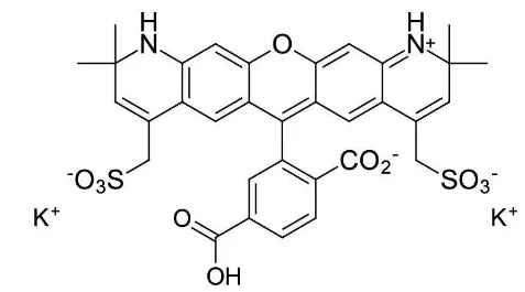 一种荧光染料，Alexa Fluor568 acid，可以产生强烈的荧光信号_alexa fluor 568通道-CSDN博客
