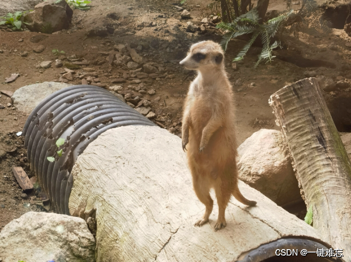 使用python进行微服务架构的设计与实现python 微服务 Csdn博客