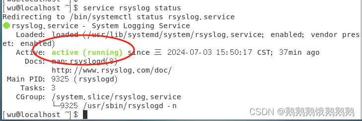 网络安全等级保护测评-安全计算环境-Linux-下篇_rsyslog和auditd-CSDN博客