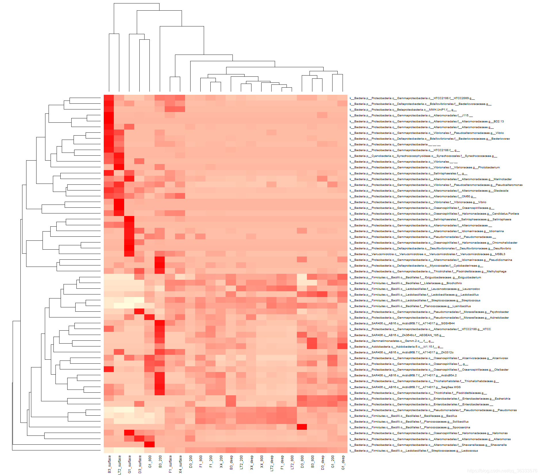 从qiime2中导出丰度数据用R语言绘制热图_r语言怎么获得qiime2输出的otu表格-CSDN博客