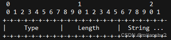 Radius认证协议（八）报文属性_nas port type-CSDN博客