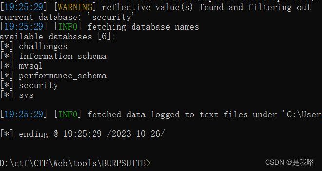sql注入 BurpSuite与sqlmap联动，sqlmap友好图形化界面解决办法 CO2(sqlmap插件) 使用_burpsqlmap插件-CSDN博客