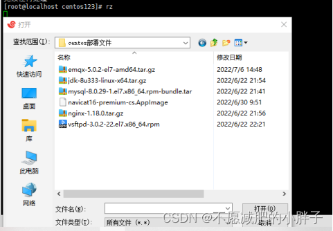 Centos部署Yum、JDK、Nginx、Tomcat、MySQL、Emqx、FTP及配置（超详细）_yum jdk-CSDN博客