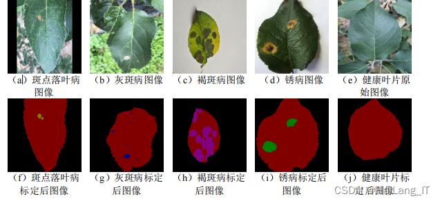 毕业设计 基于深度学习的常见苹果叶片病害识别与病斑分割方法研究苹果树病虫害识别深度学习 Csdn博客
