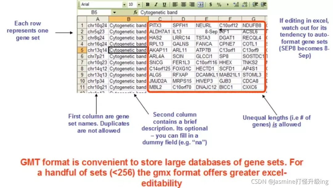 写一个函数把基因集写出成为gmt文件_gmt文件制作-CSDN博客