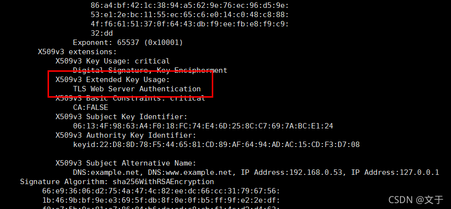 etcd TLS集群-CSDN博客