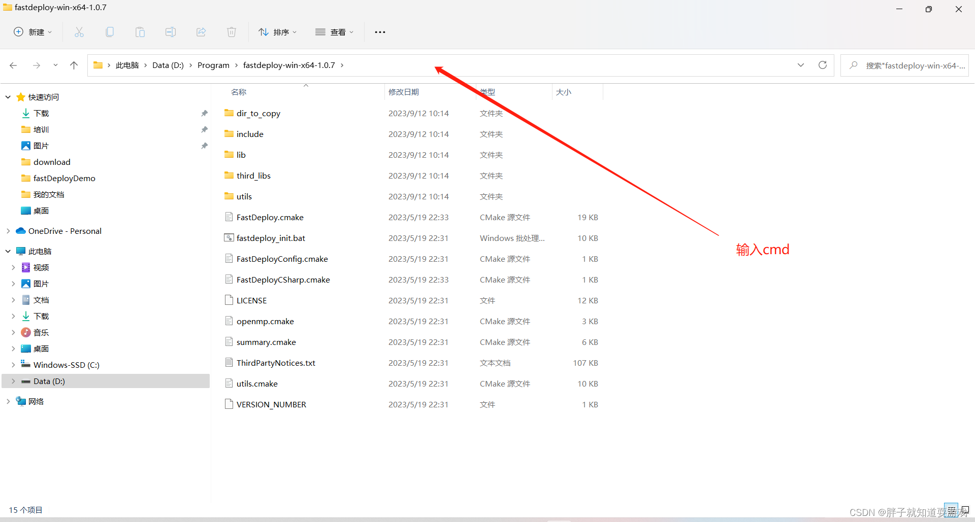 【C++ 图像处理 fastDeploy】20230912-fastDeploy安装测试_fastdeploy c++-CSDN博客
