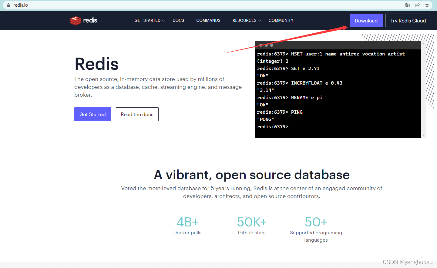 Linux下Redis 的安装_redis-stack-server-CSDN博客