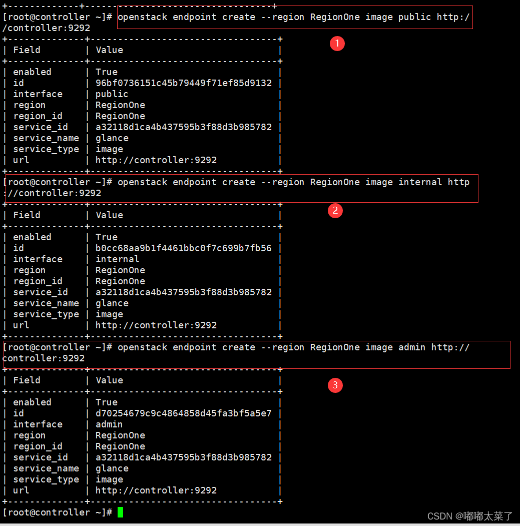 【Openstack Train安装】七、glance安装_openstack train 安装glance-CSDN博客
