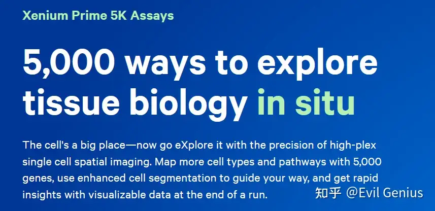 10X Xenium技术将检测基因提高到5000+_10 x xenium建议测序数据量-CSDN博客