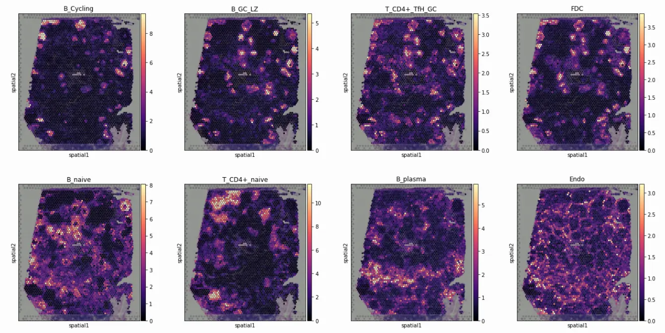 10X单细胞空间联合分析之再次解读cell2location-CSDN博客