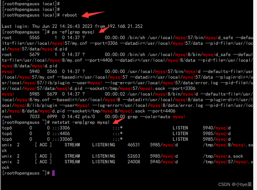 centos7安装并启动多实例mysql数据库_一台虚拟机可以部署两个mysql吗-CSDN博客