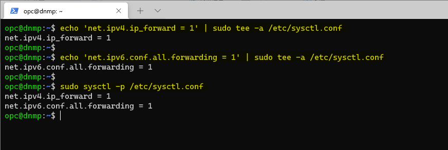 TailScale 实现「出口节点」Exit Node（导向所有流量经这出口节点_tailscale exitnode-CSDN博客