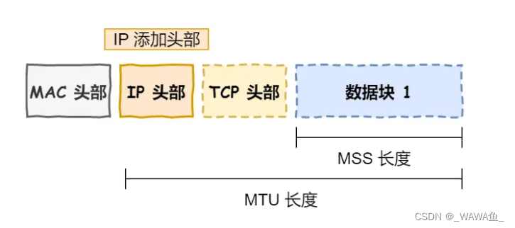计算机网络MTU和MSS的区别_mss和mtu-CSDN博客