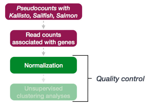 RNA-seq 详细教程：搞定count归一化（5）_normalized rnaseq data-CSDN博客