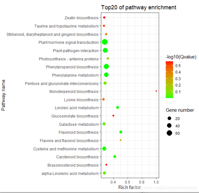 R语言生物信息：绘制基因富集图，探索路径通路差异-CSDN博客