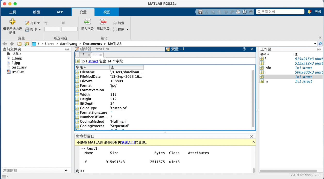 MATLAB图像处理基础：读取、显示与转换-CSDN博客