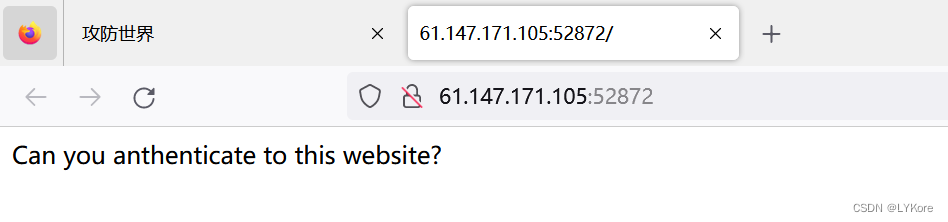 PHP2_admin url加密-CSDN博客