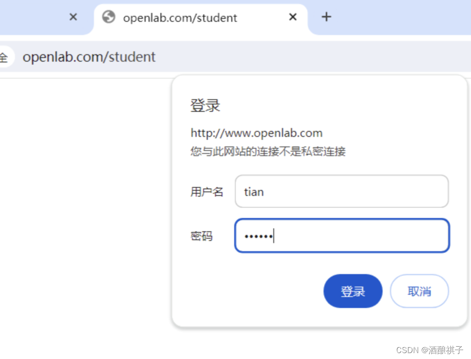 OpenLabWeb搭建指南：子站权限、加密与DNS配置-CSDN博客