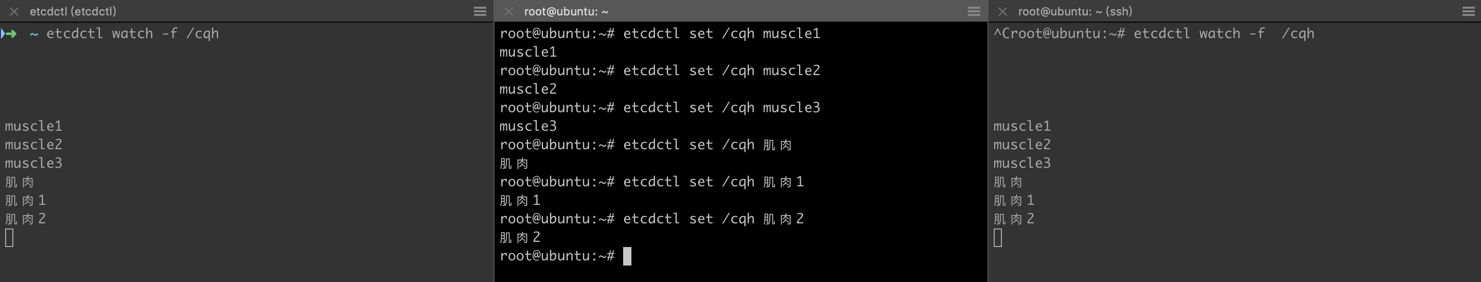 搭建和使用etcd_etcd listen-client-urls-CSDN博客