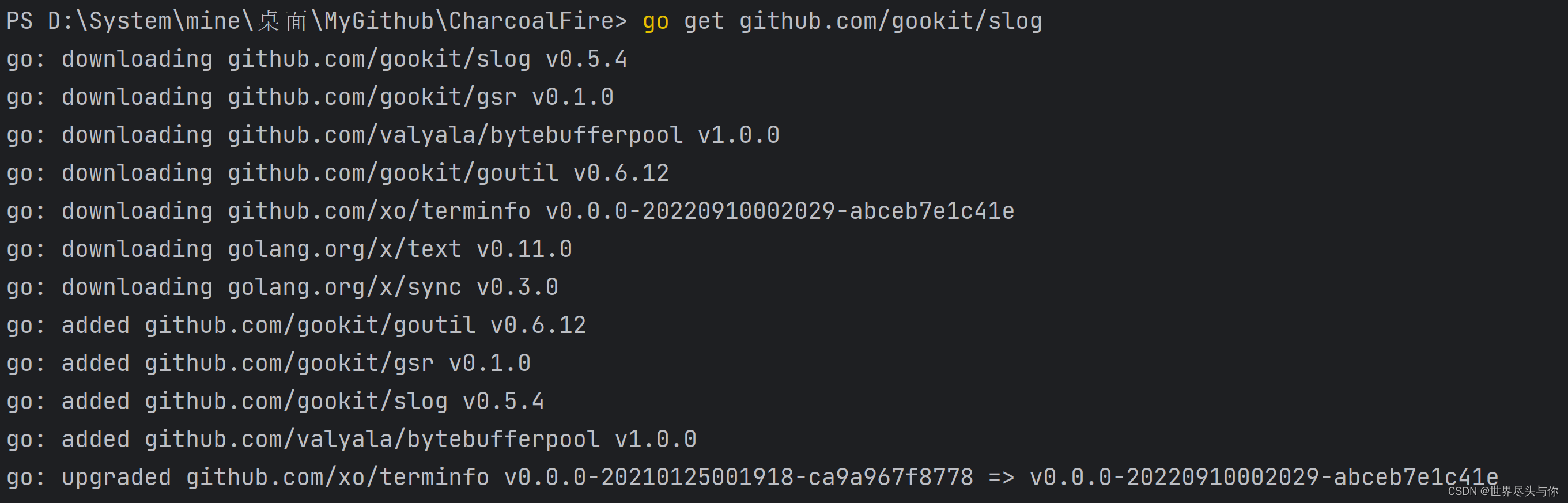 Go语言日志美化库，slog使用指南_go slog-CSDN博客