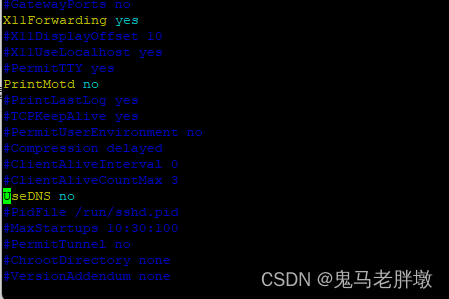 解决Ubuntu Server ssh速度慢_ubuntu arm ssh慢-CSDN博客