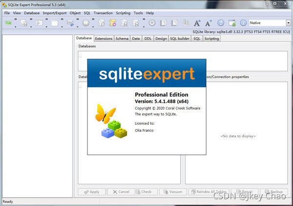 SQLite Expert Professional下载安装_sqlite profession-CSDN博客