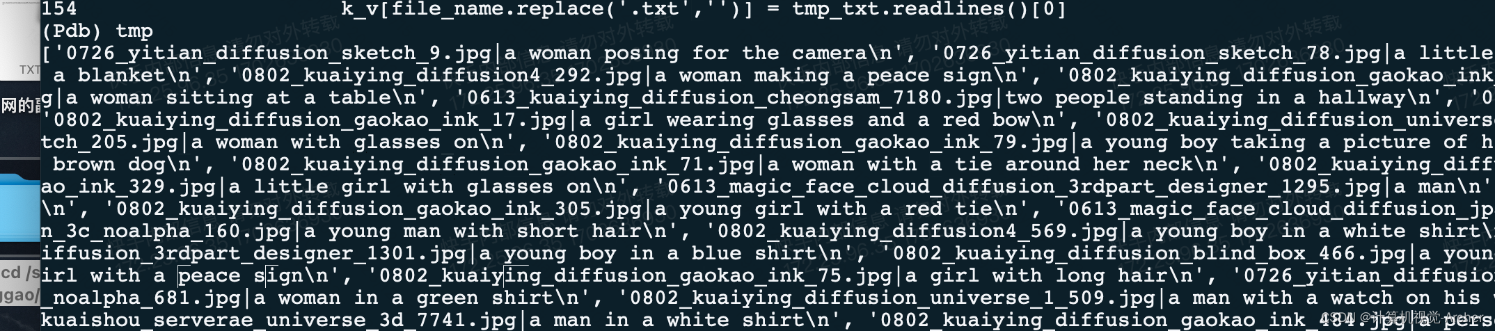 diffusers中blip描述使用详解_diffuser blip添加文本描述-CSDN博客