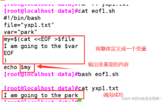 HereDocument与Expect：自动化脚本中的交互技巧与应用-CSDN博客