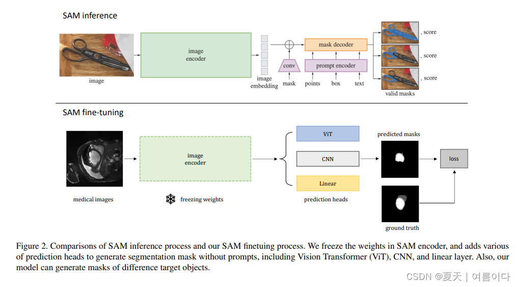 CV | SAM在医学影像上的模型调研【20240223更新版】_medsam 2024-CSDN博客
